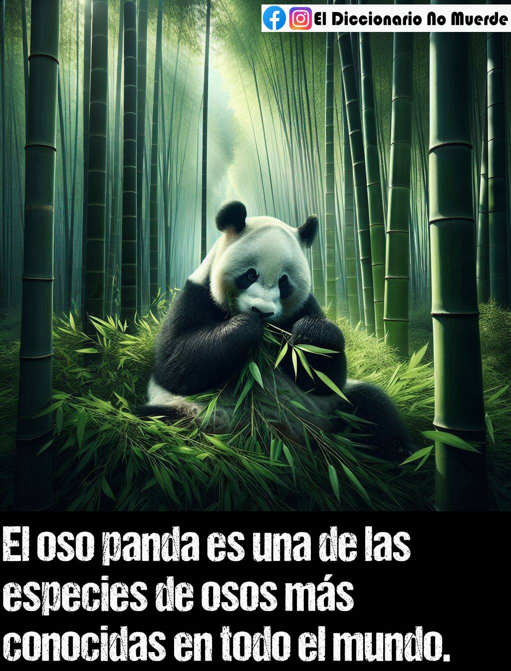 Significado de «pando (panda)»