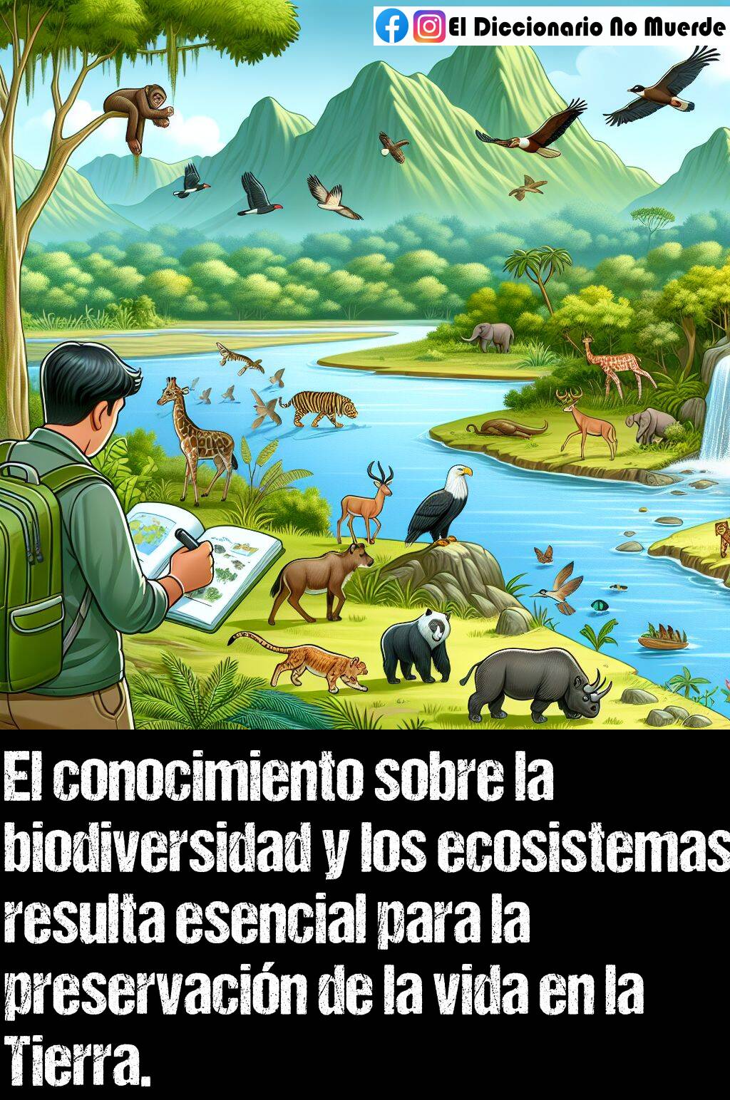 Significado de «preservación» Significado de «preservación»