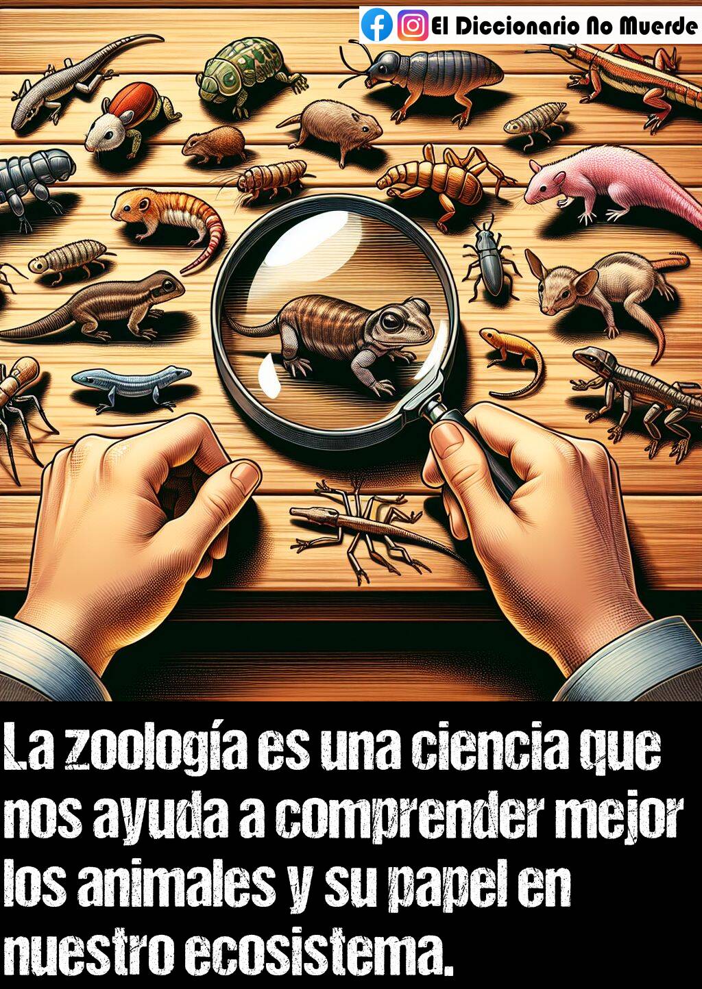 Significado de «zoología»