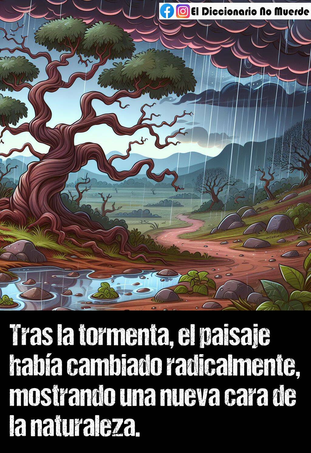Significado de «caro (cara)»