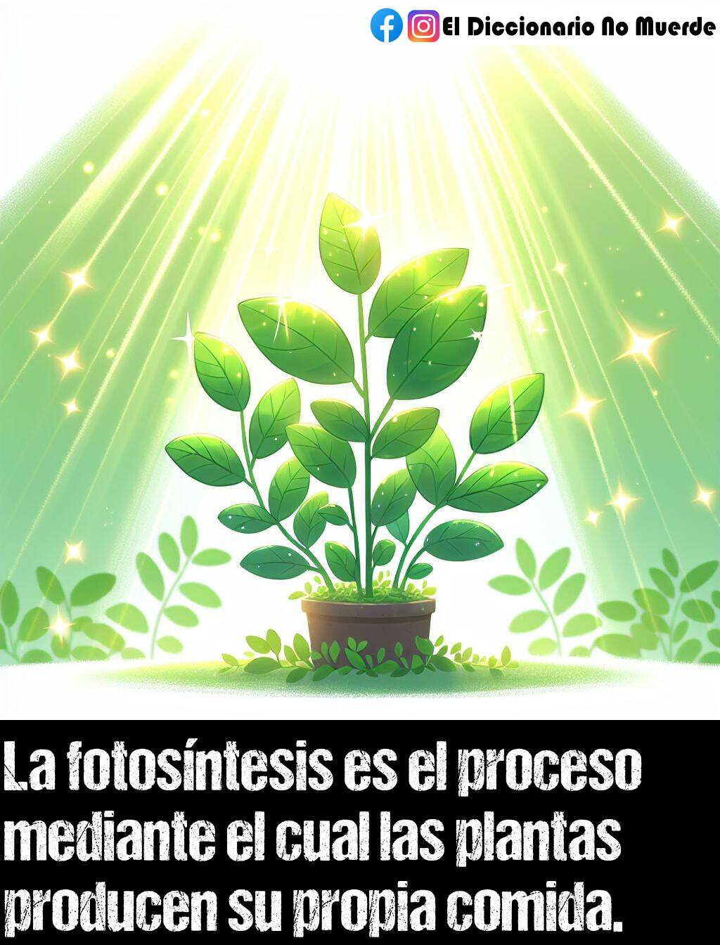 Significado de «mediante»