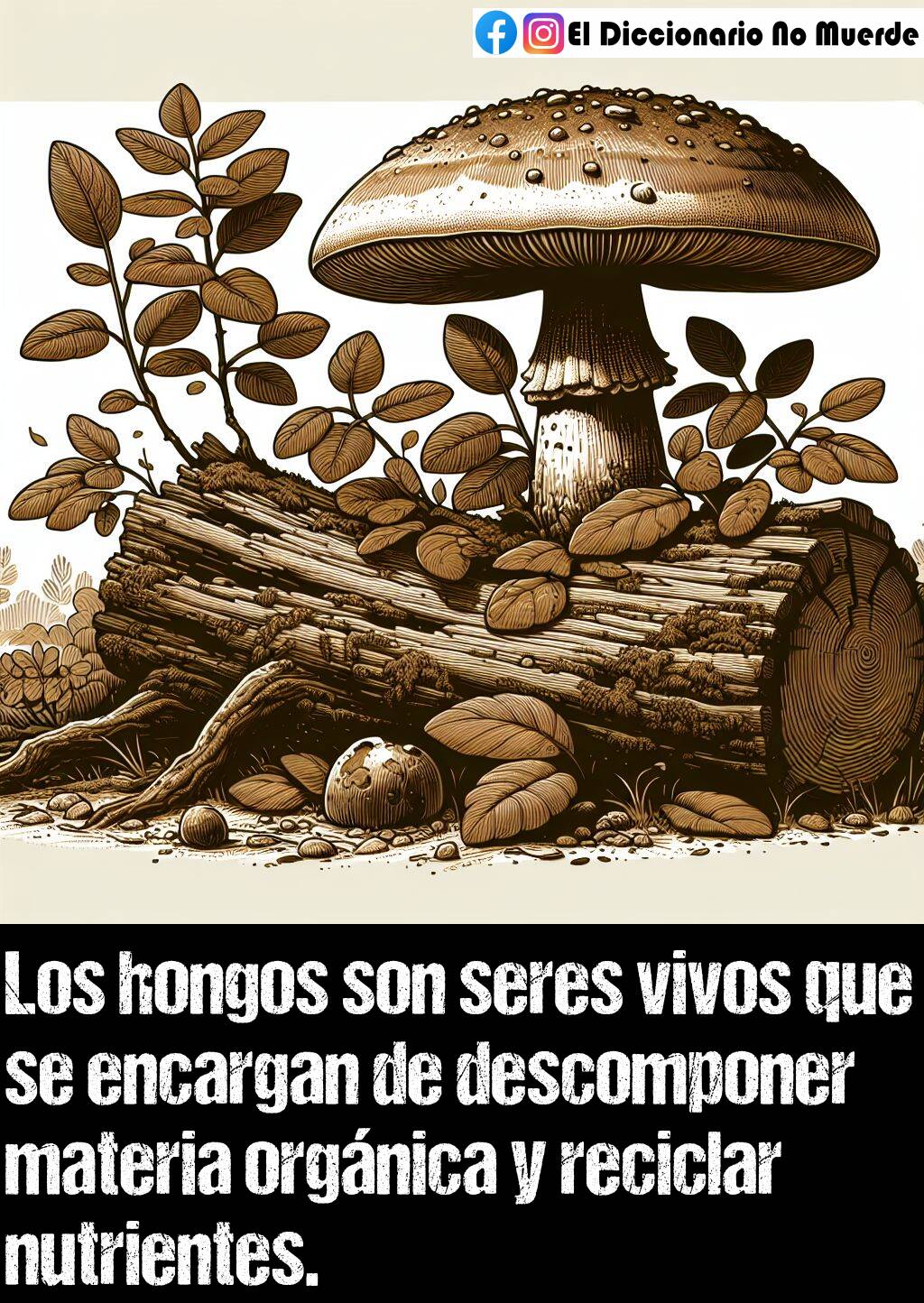 Significado de «descomponer»