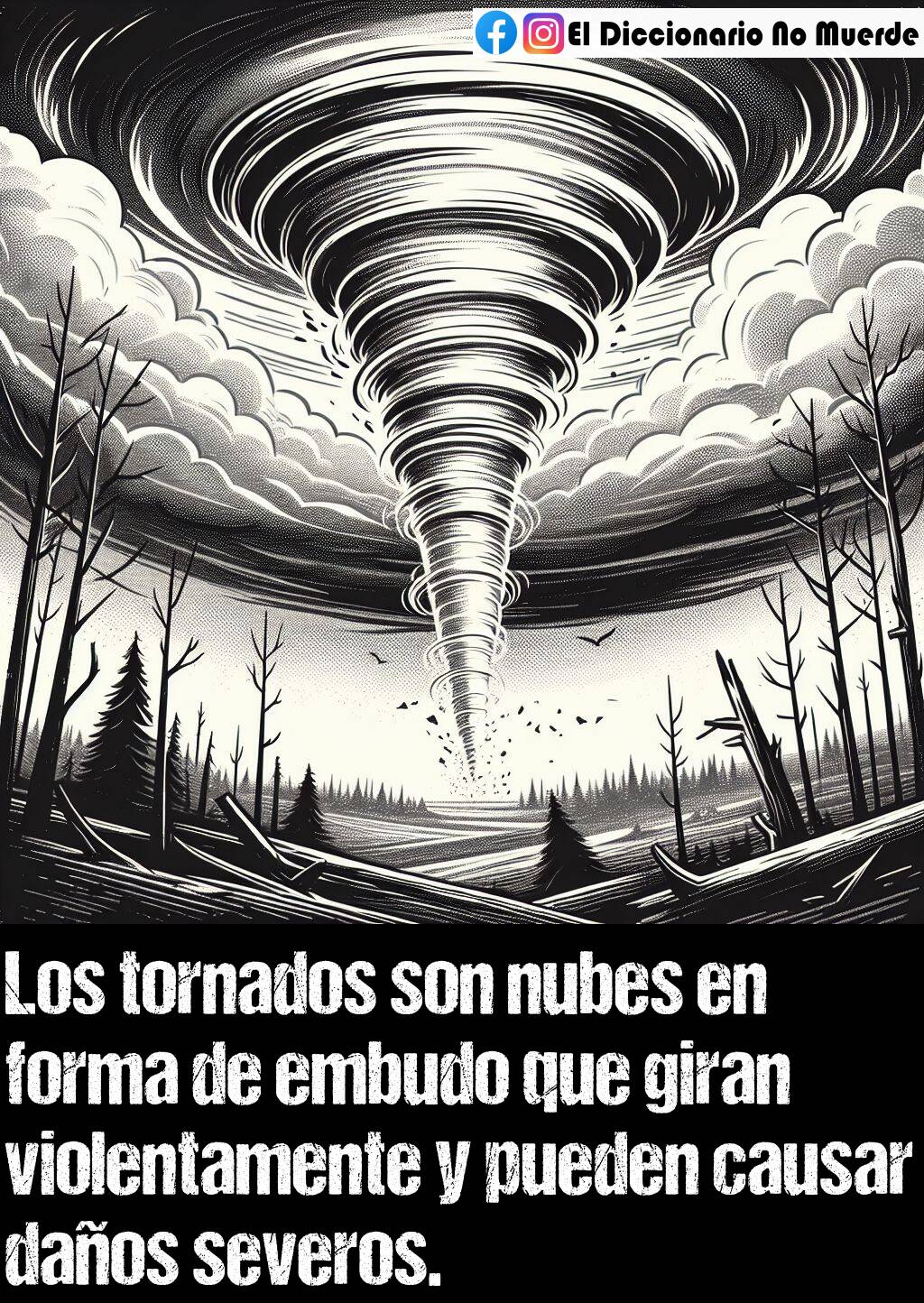 Significado de «severo (severa)»