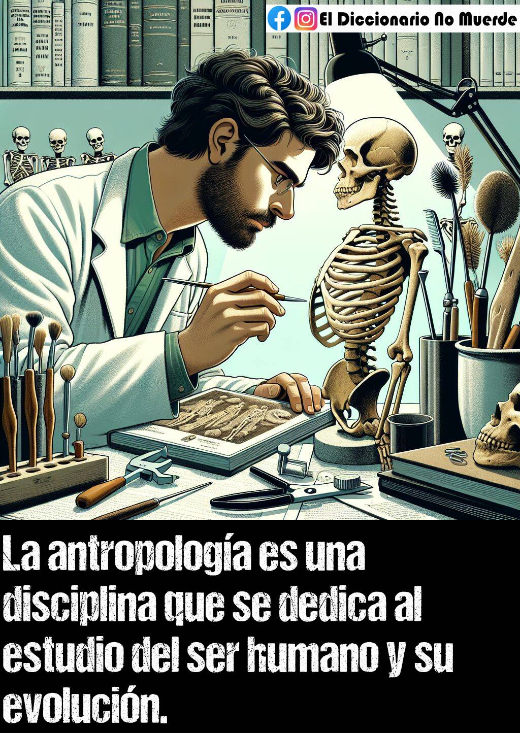 Significado de «antropología»