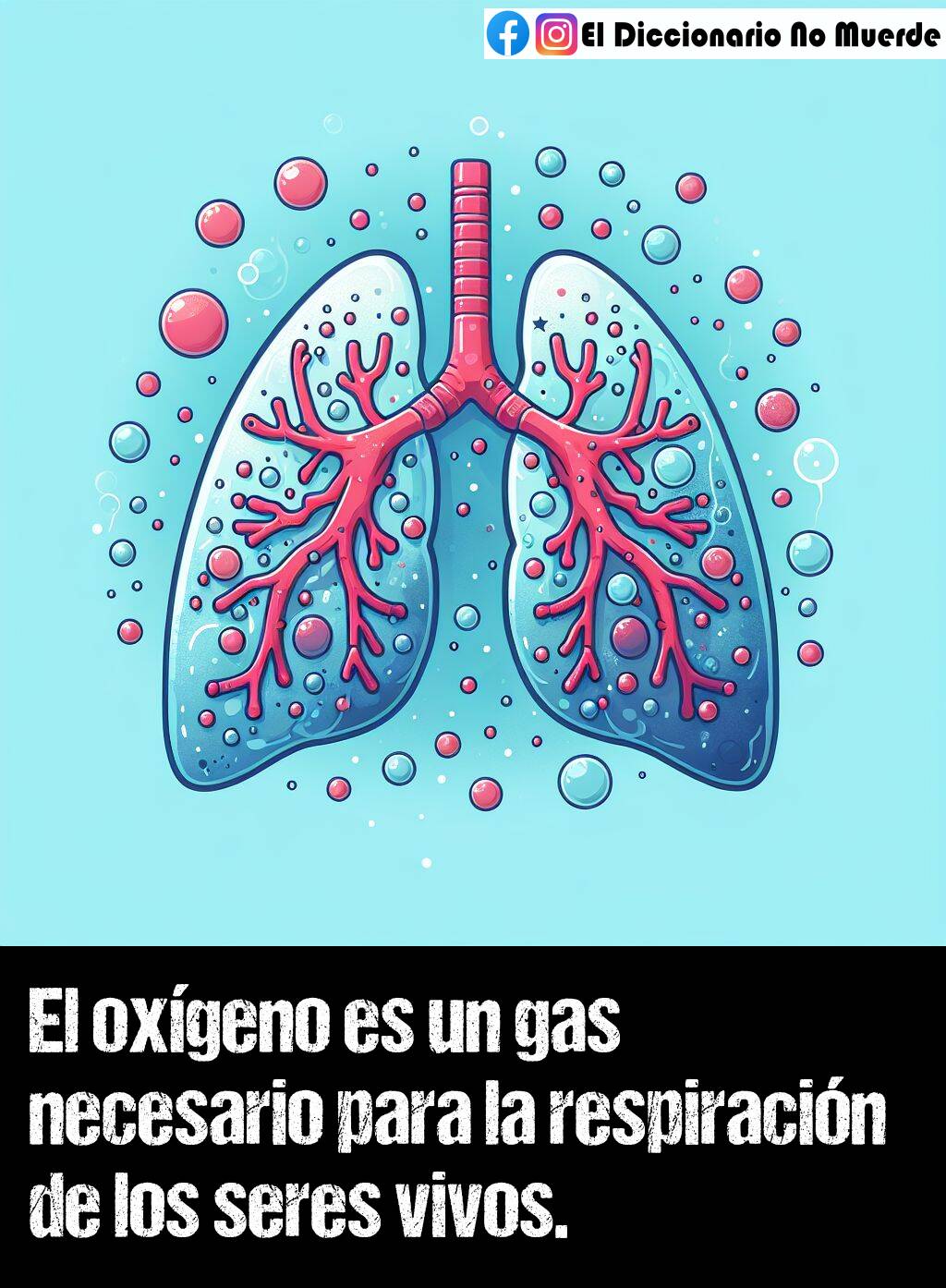 Significado de «gas»