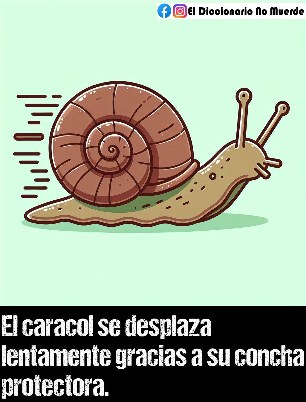 Significado de «concha»