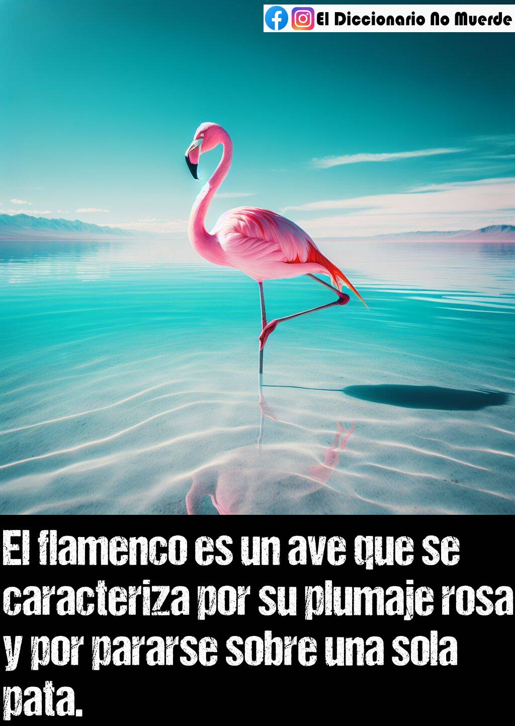 Significado de «solo (sola)»