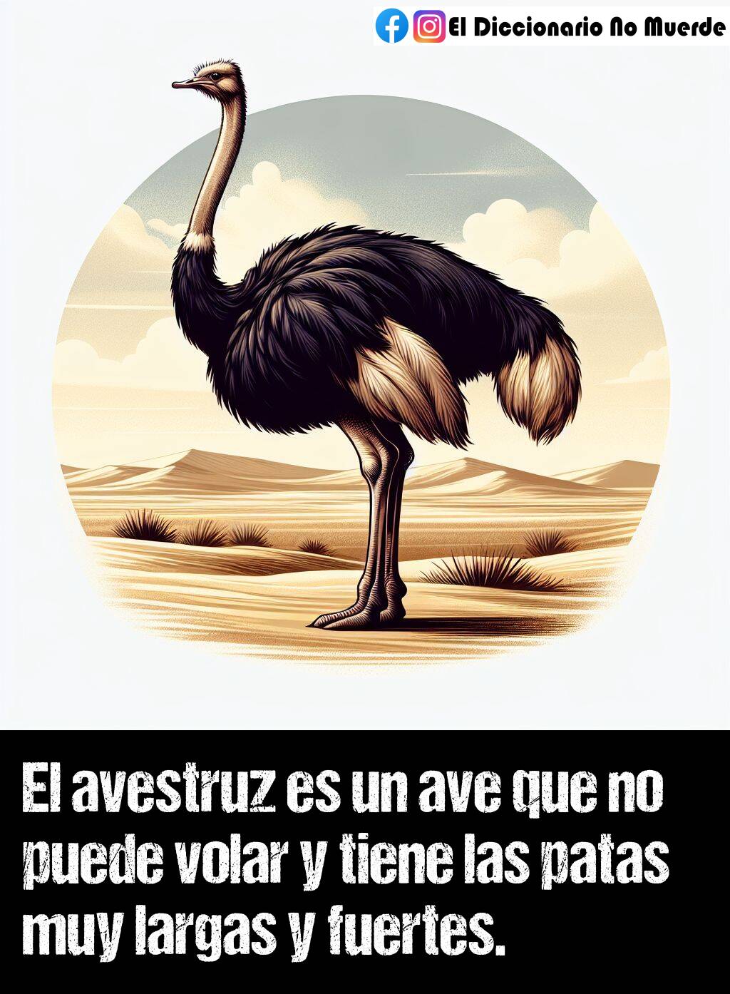 Significado de «pata»