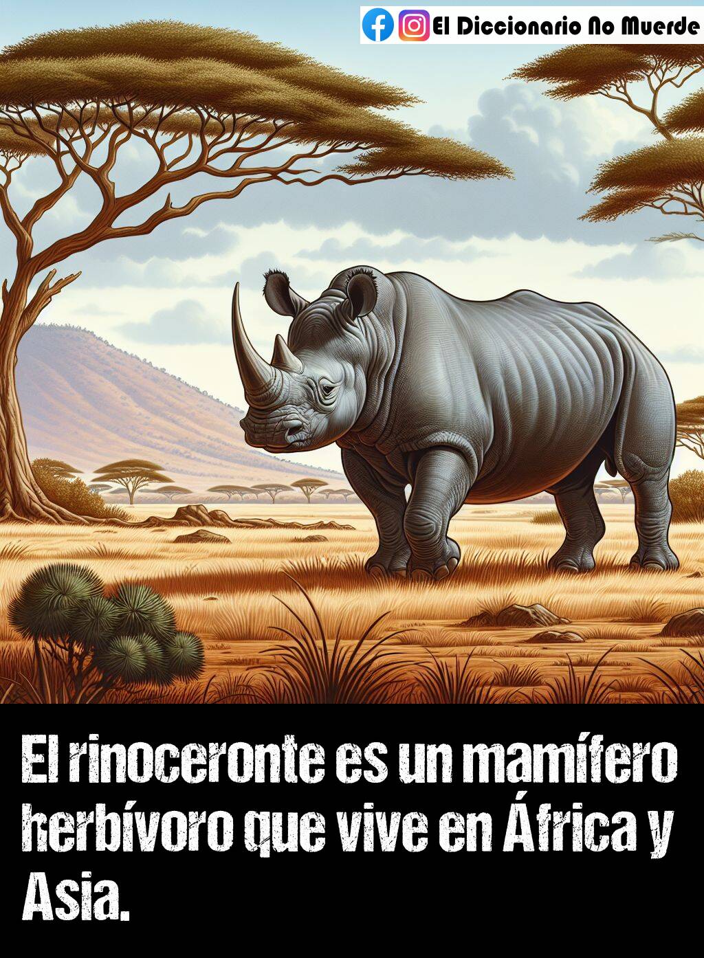 80 oraciones con «rinoceronte»
