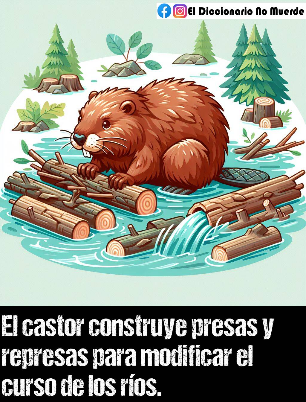 Significado de «curso»