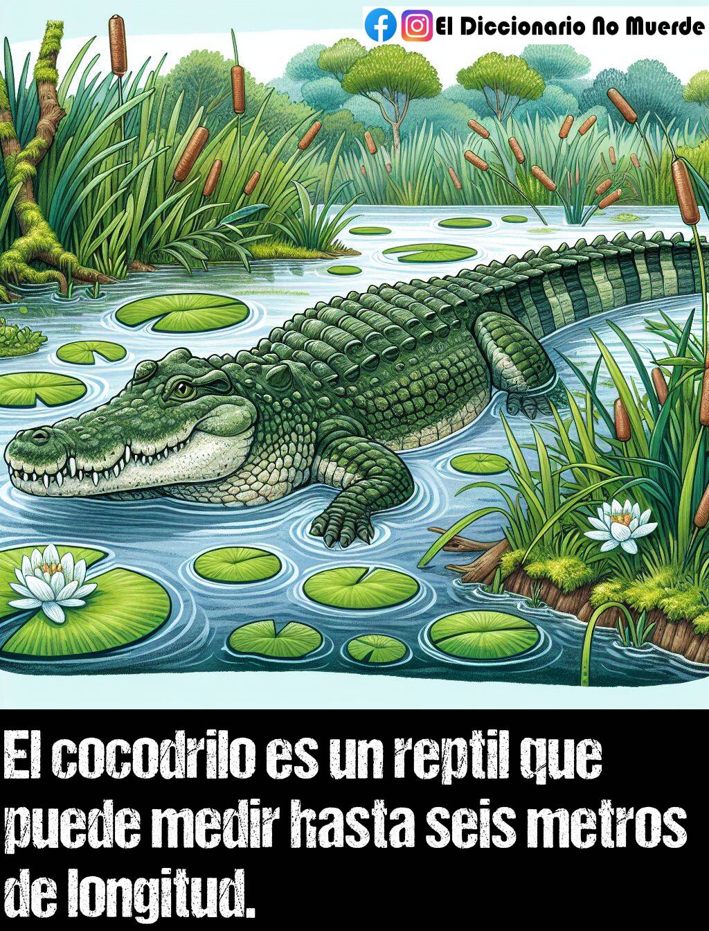 Significado de «hasta»