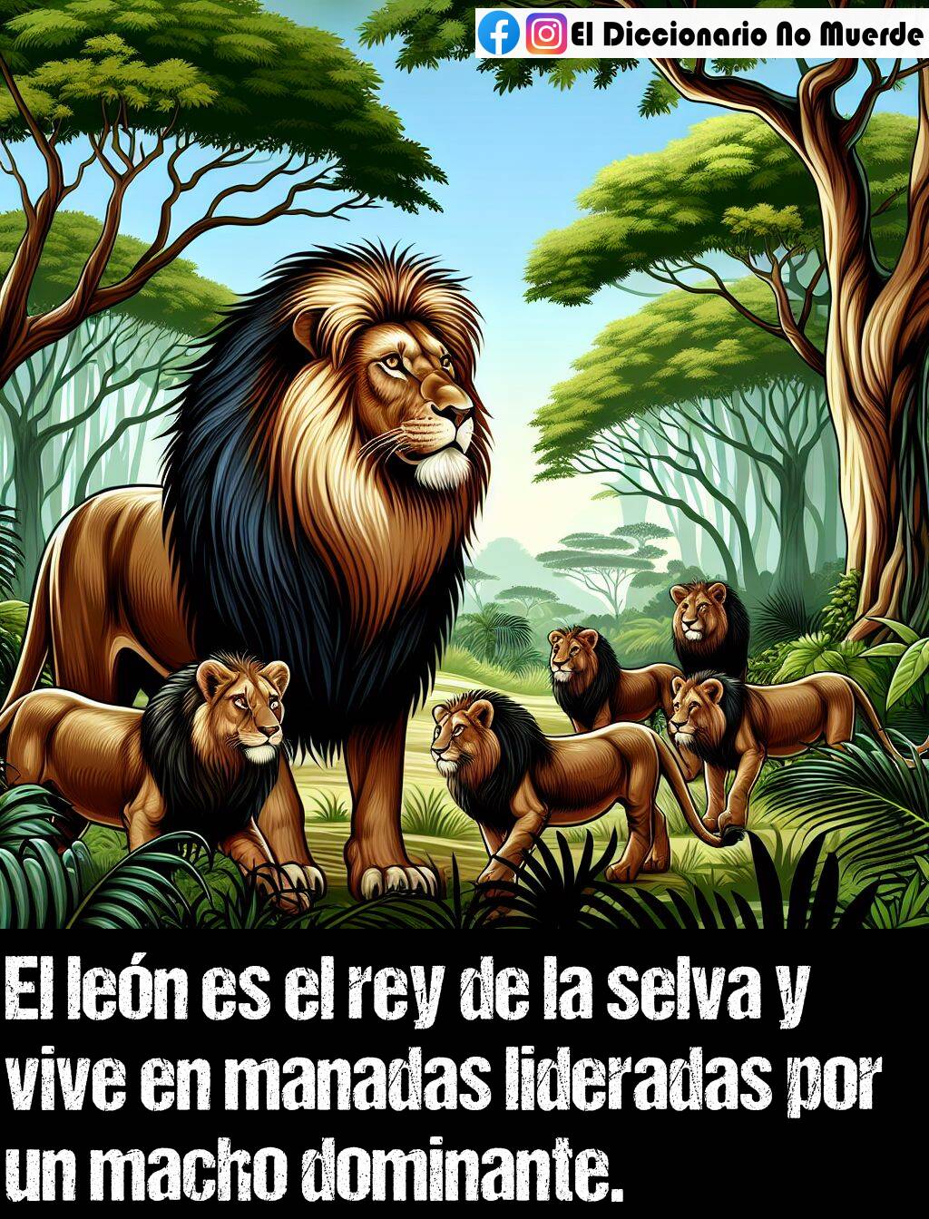 Significado de «macho»