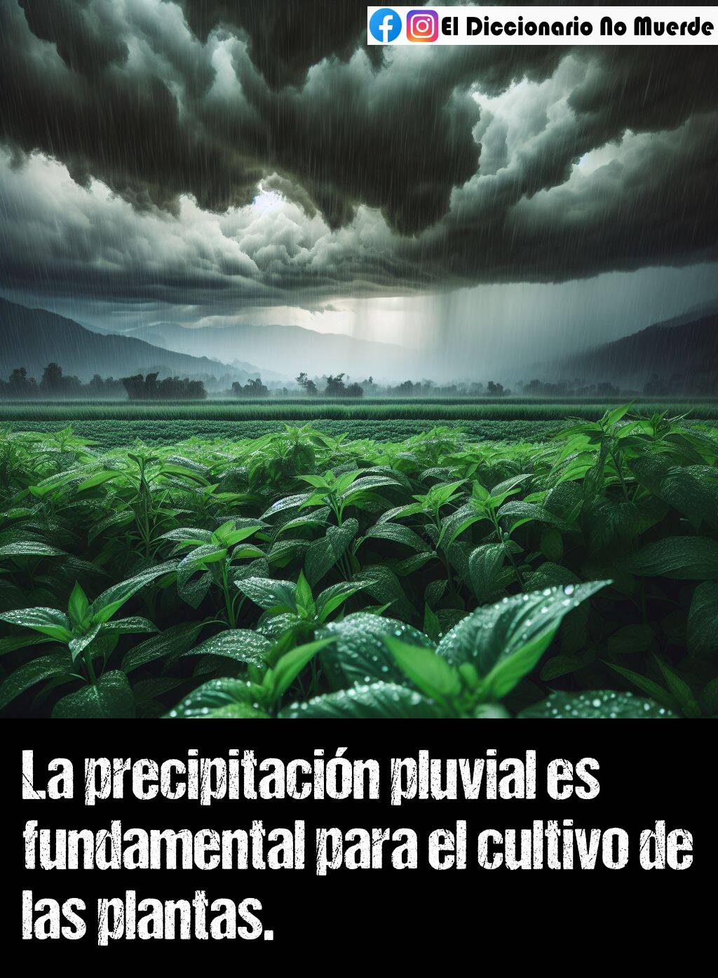 68 oraciones con «precipitación»