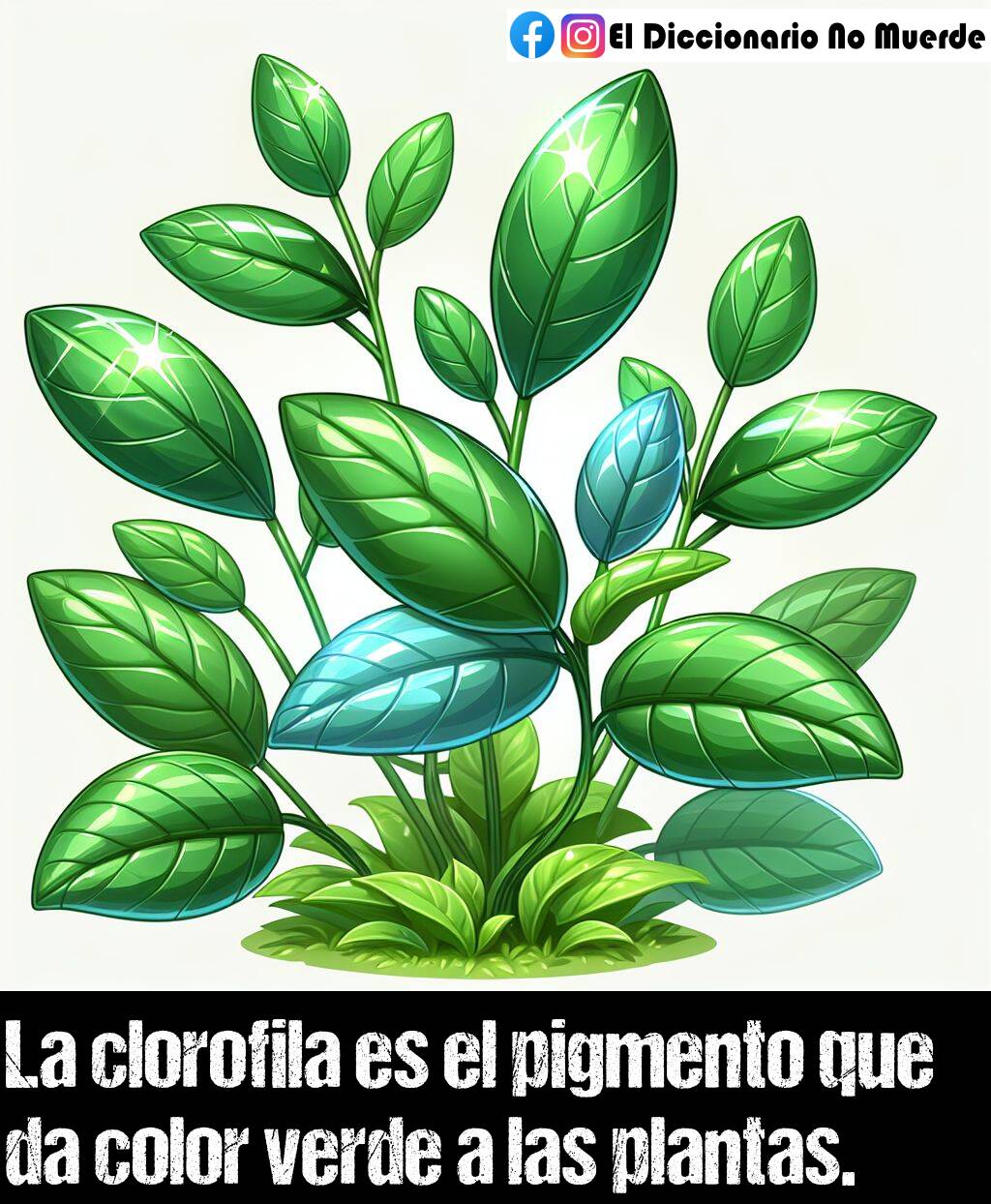 17 oraciones con «clorofila»