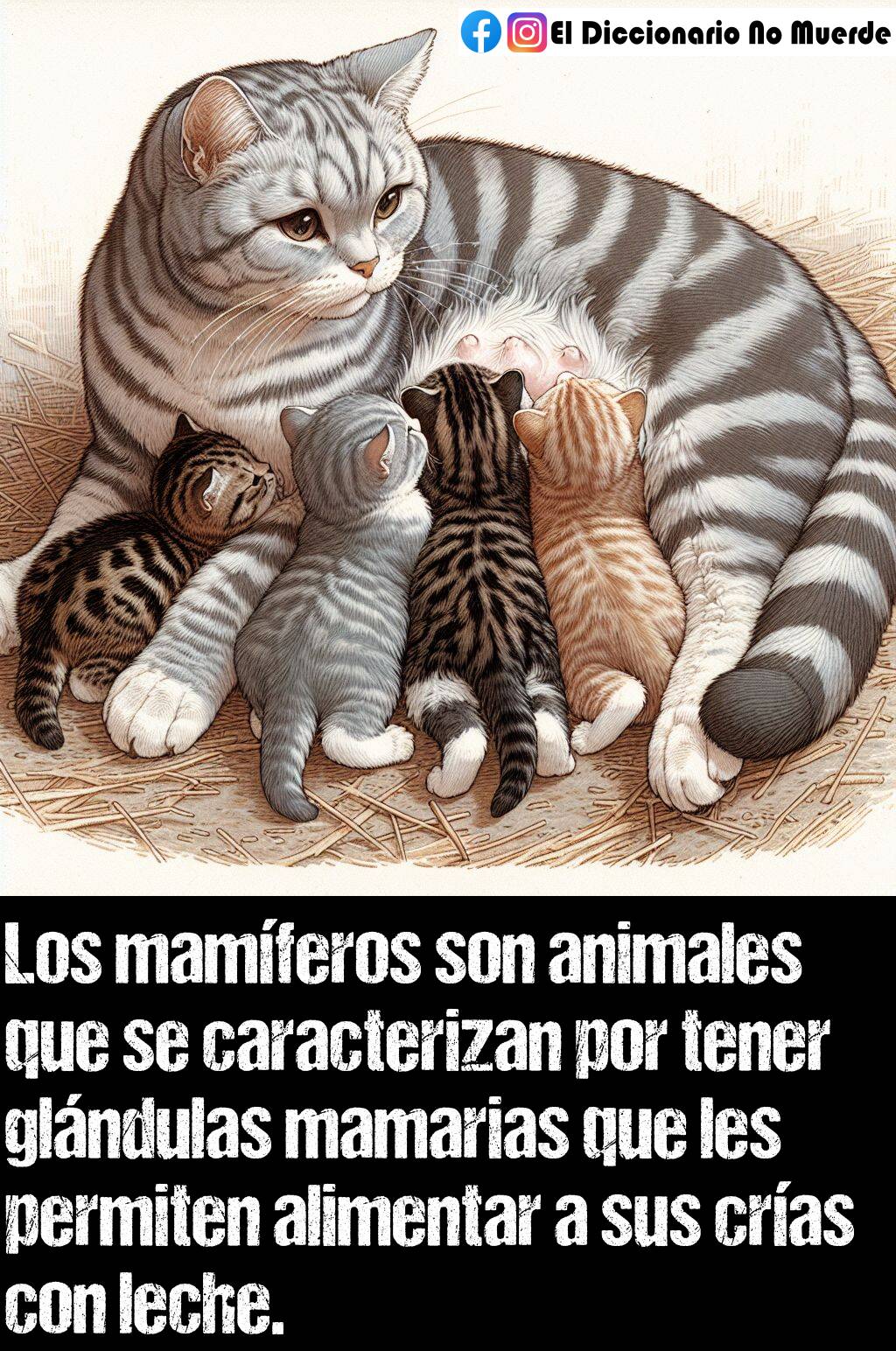 Significado de «cría»