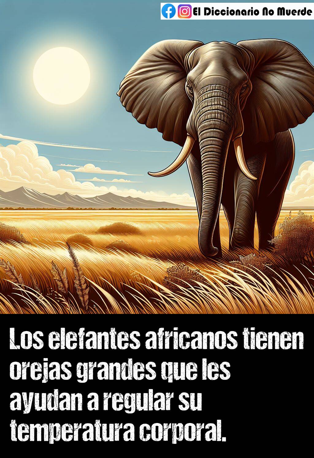 80 oraciones con «elefante»