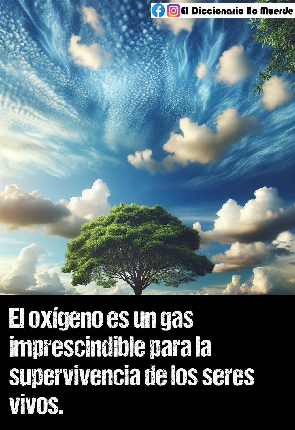 Significado de «gas»