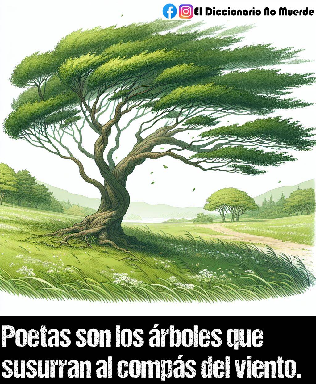 Significado de «compás»