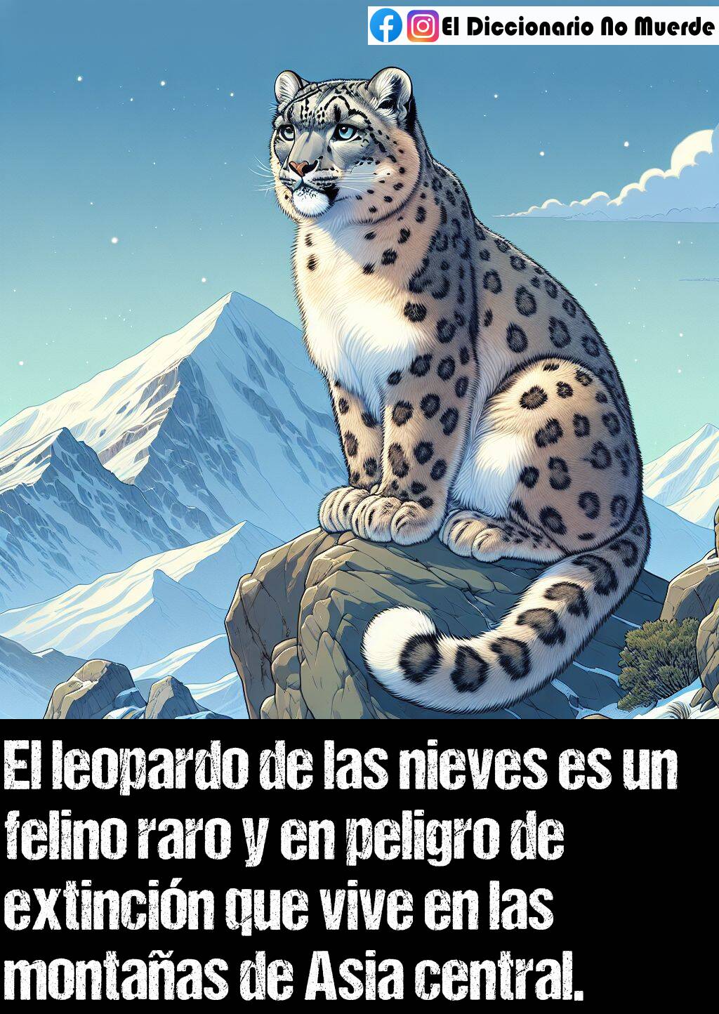 Significado de «raro (rara)»