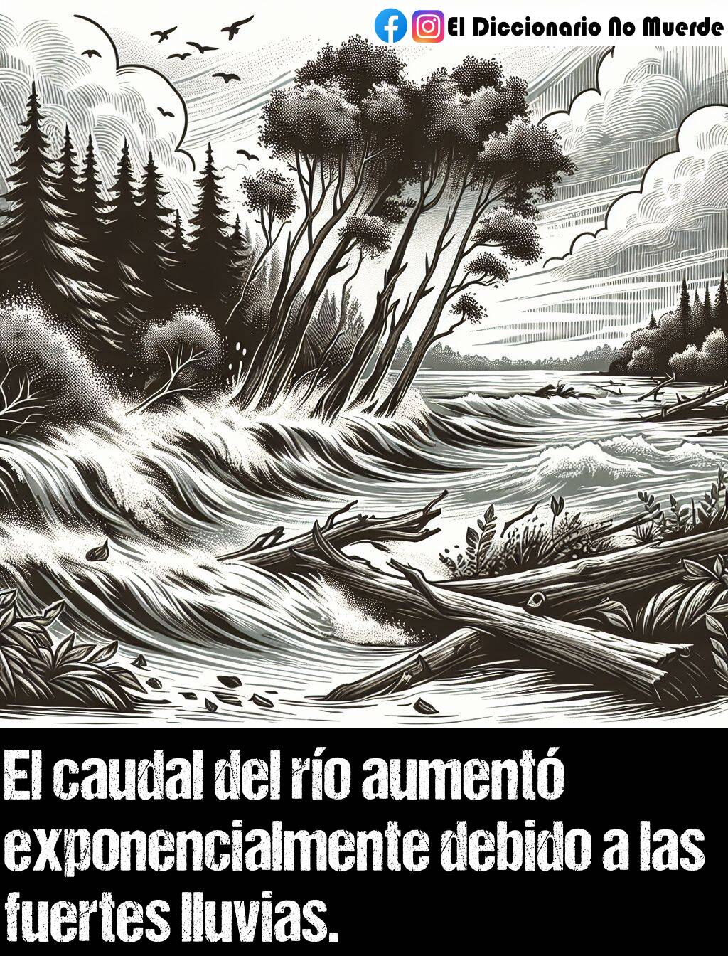 Significado de «debido (debida)»