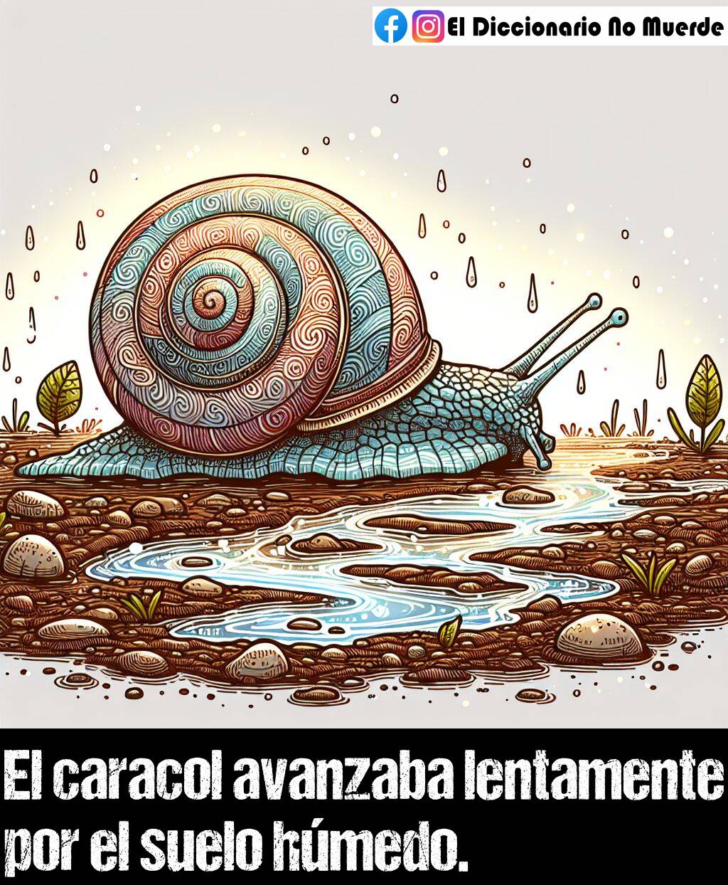 Significado de «húmedo (húmeda)»