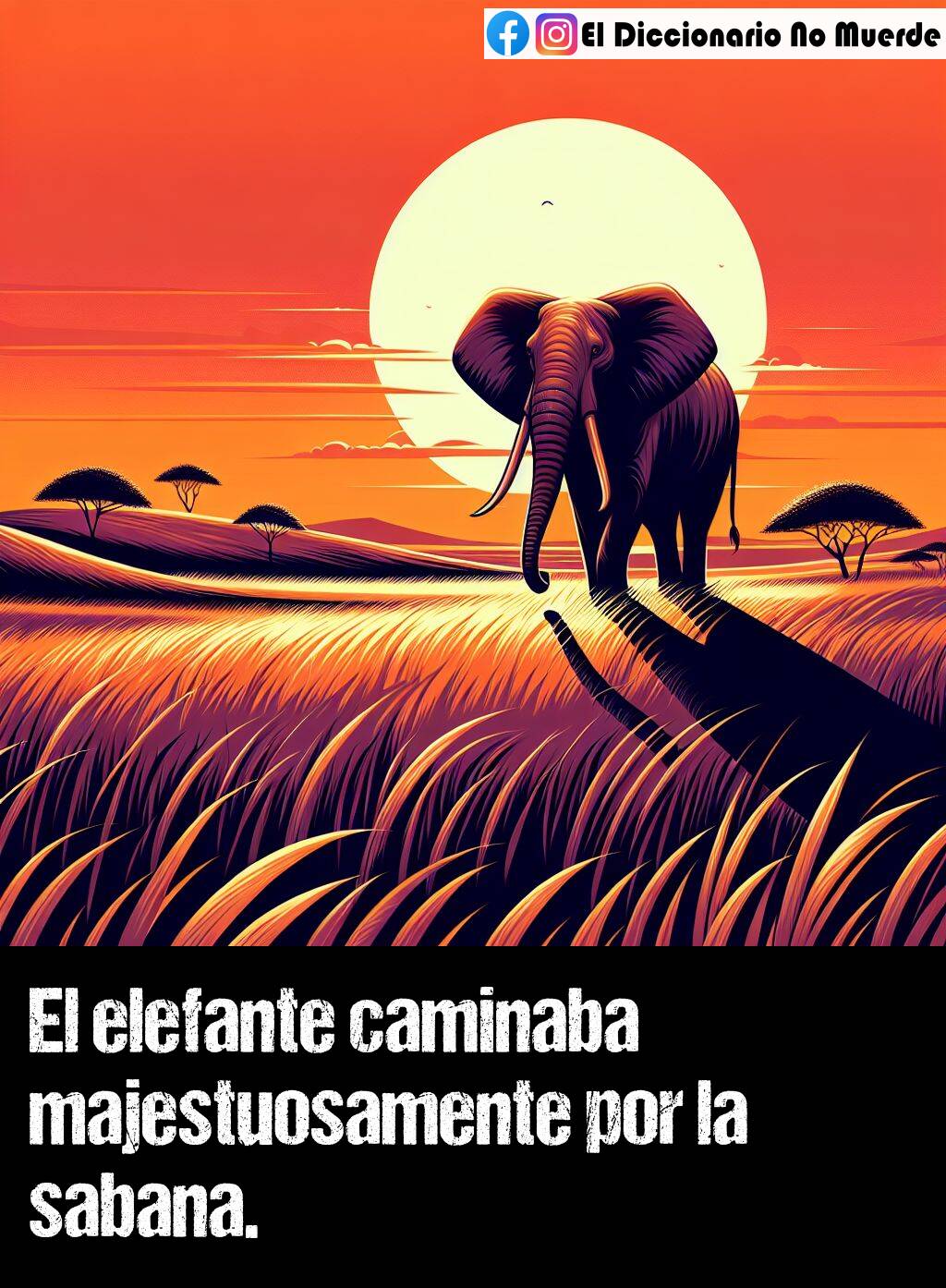 80 oraciones con «elefante»