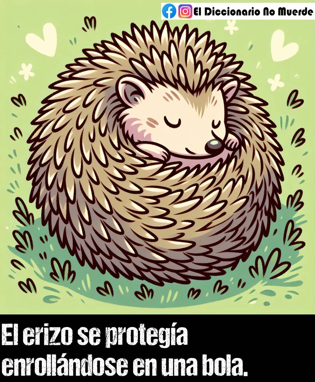 Significado de «erizo»