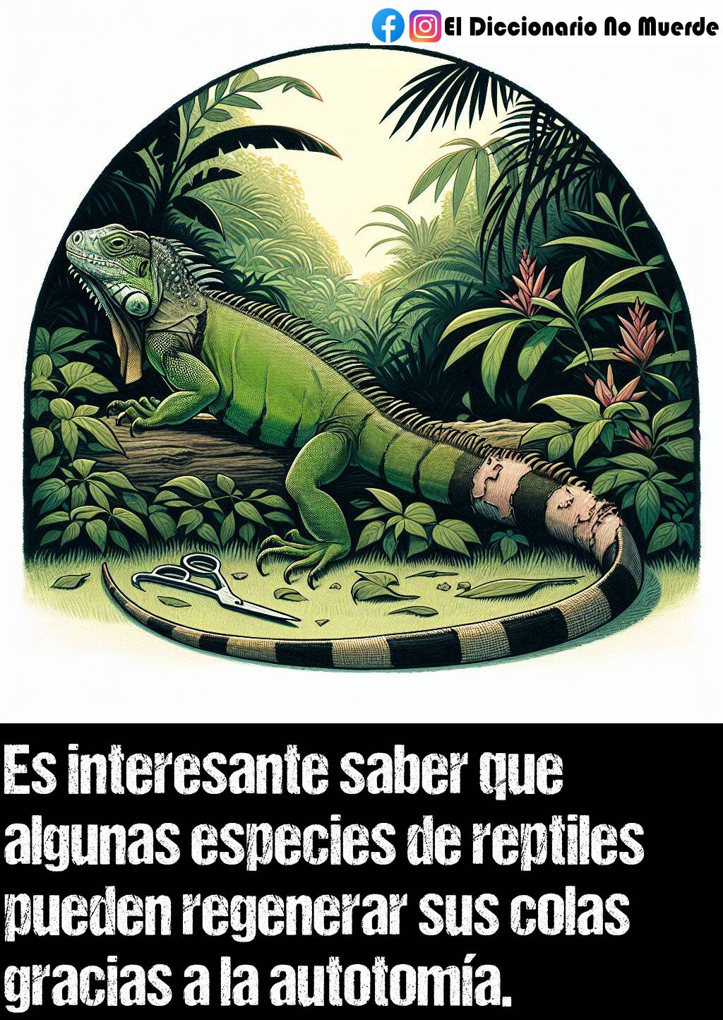 Significado de «cola»