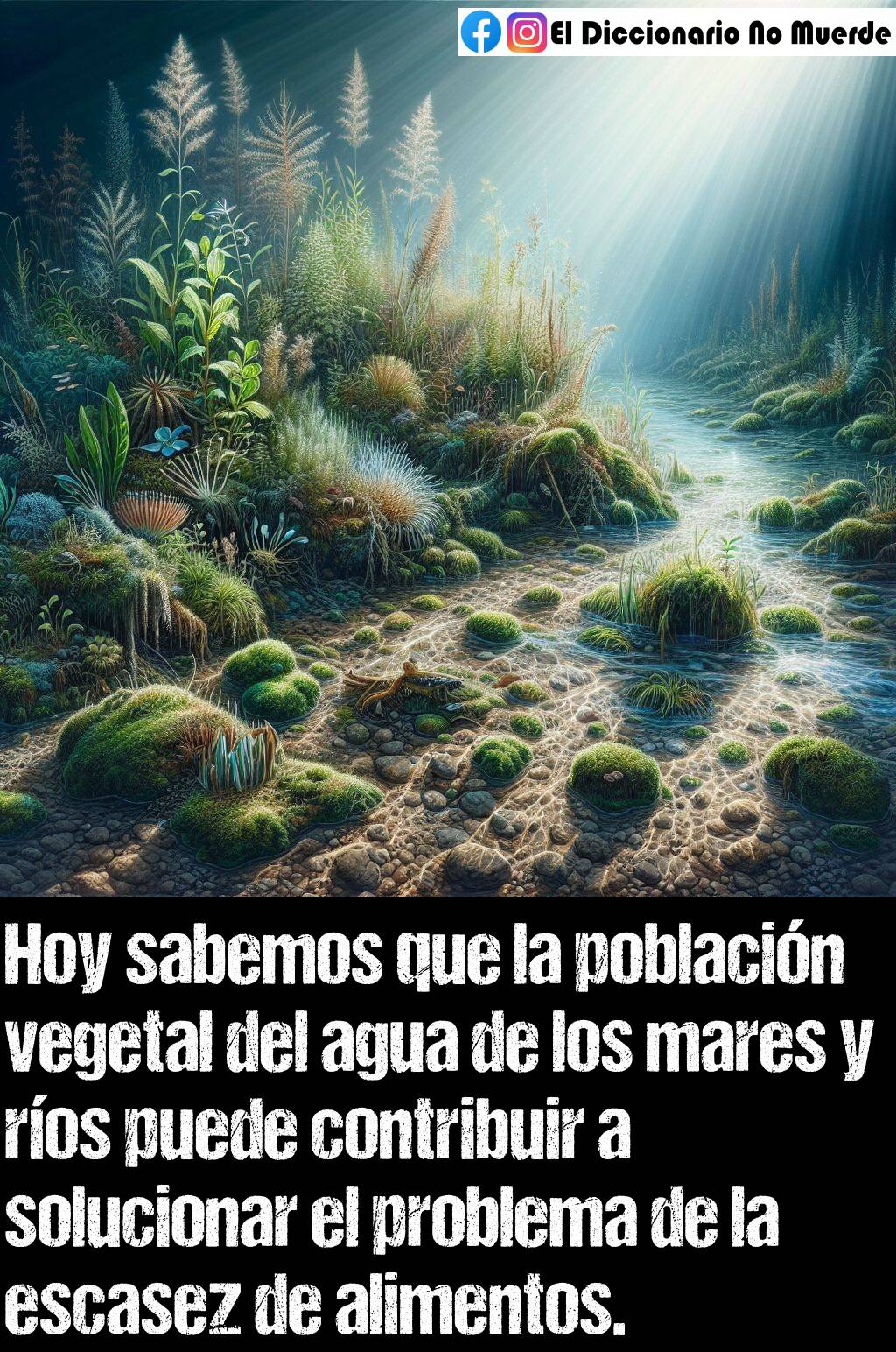 Significado de «solucionar»