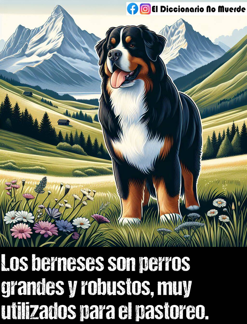 10 oraciones con «bernés»